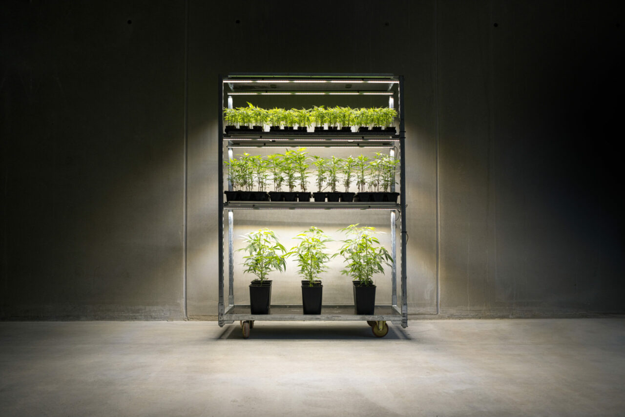 SANlight FLEX II 20 - growerssupply.eu