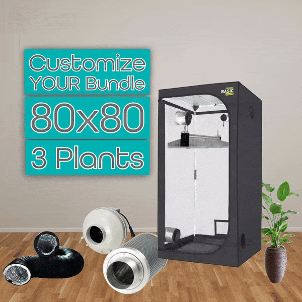 80x80cm | High-Performance | 3 Plants+ Grow kit Bundle - growerssupply.eu